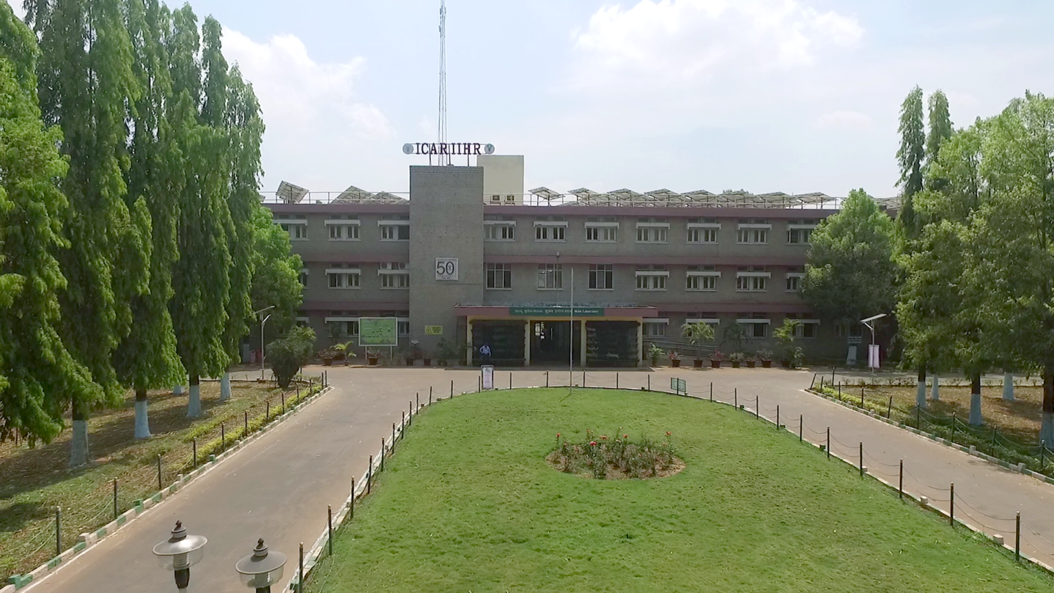 SidduJack | Copper red jackfruit with the highest nutritional value